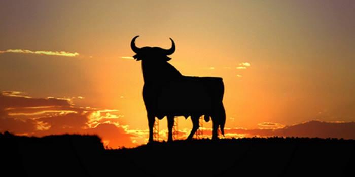 La extinción el macho ibérico (por Isa)